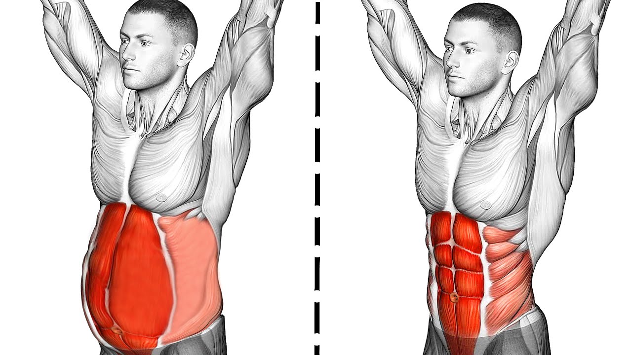 Abs Workout (Abdominal Exercises) - YL Fitness Plus